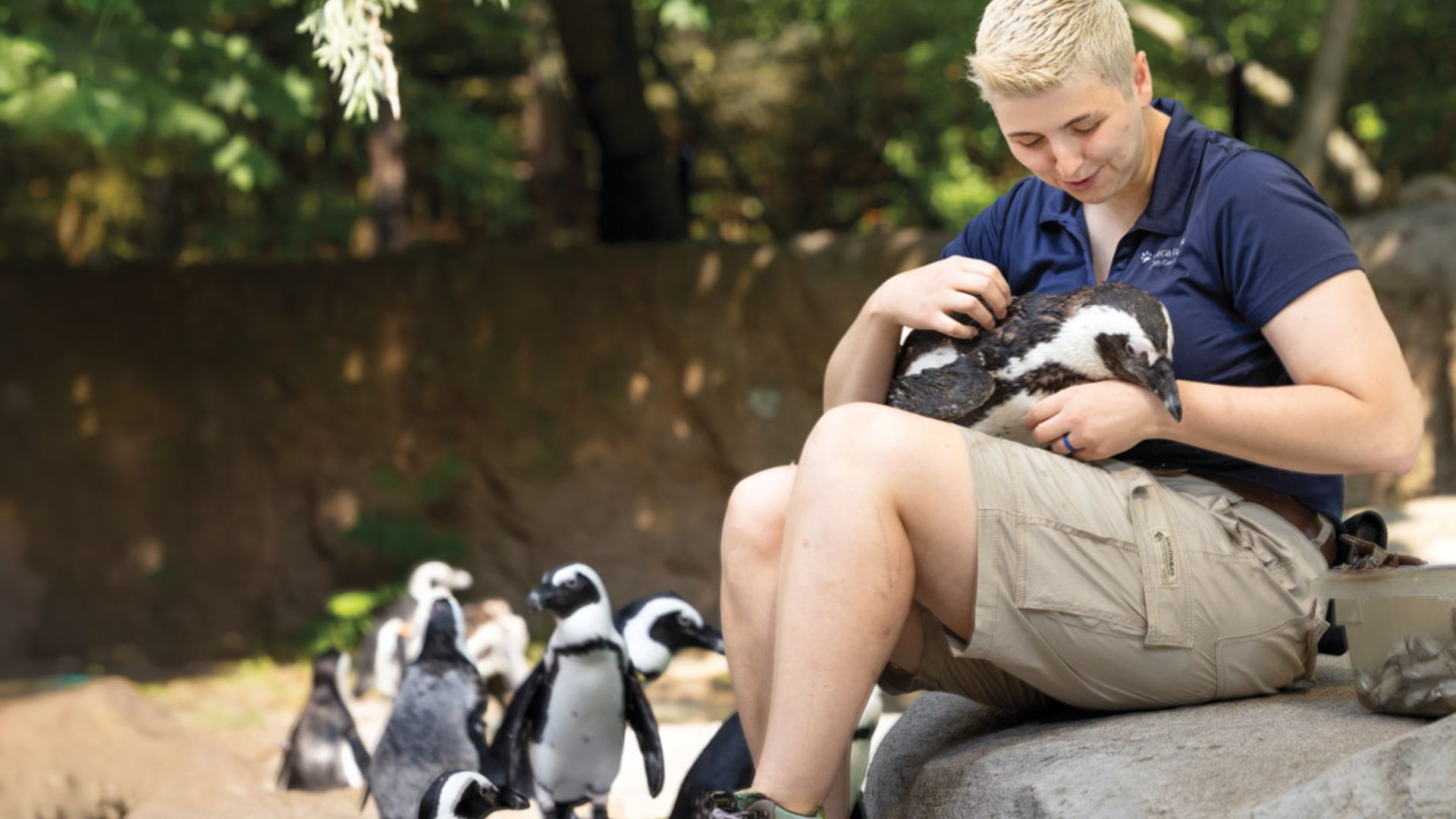 RIT graduate Brenna De Angelis builds a rewarding career caring for lions tigers and sea lions ...