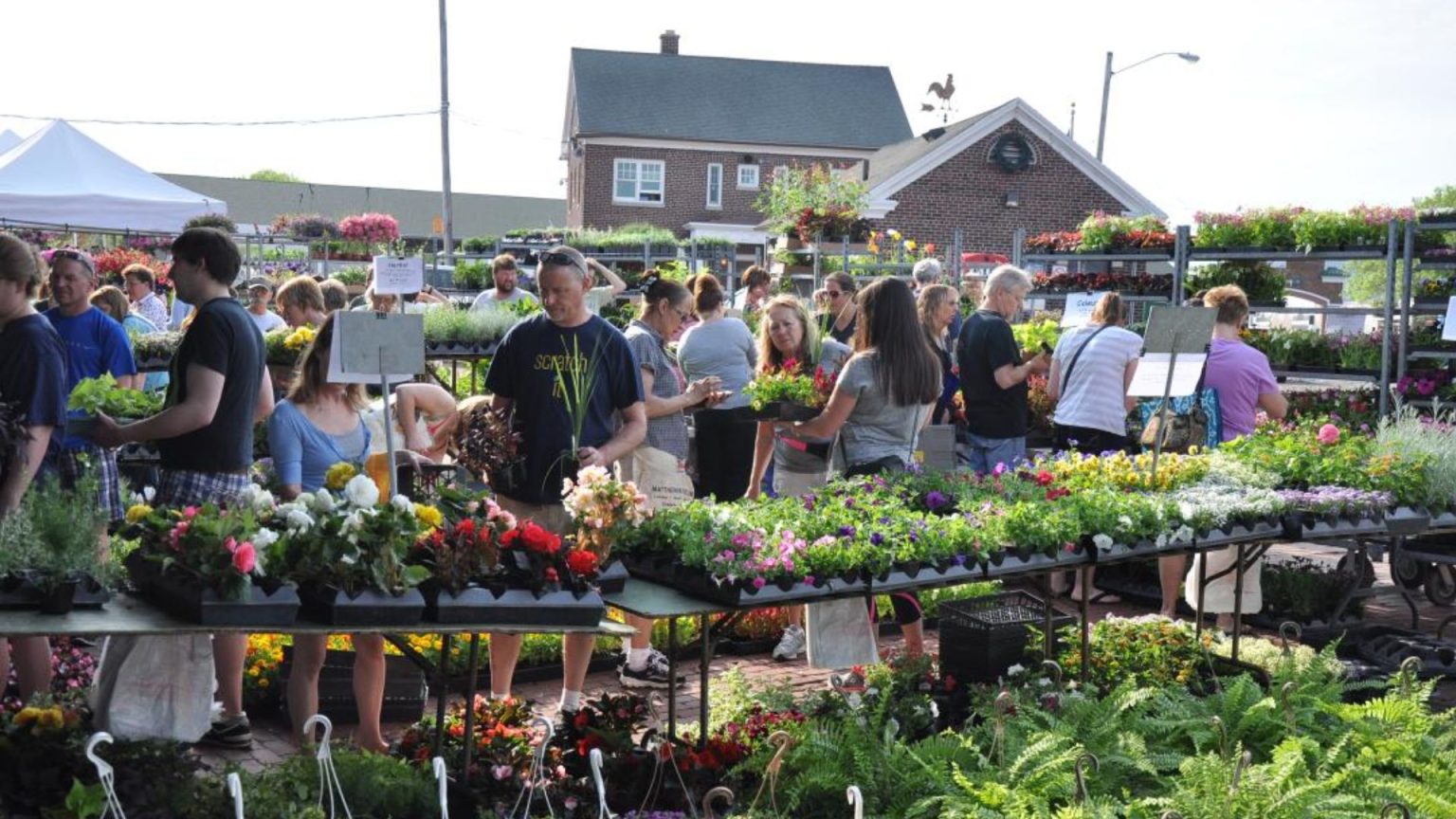 Dozens of special events set to bring music food and fun to Rochester ...